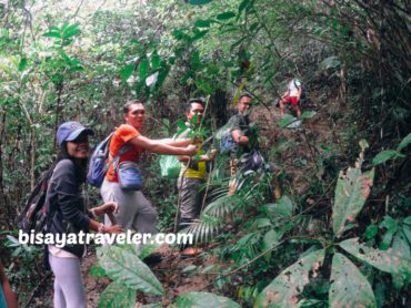 Mount Lanaya: A Pleasant Hike That Helped Beat Energy Gap - The Bisaya ...