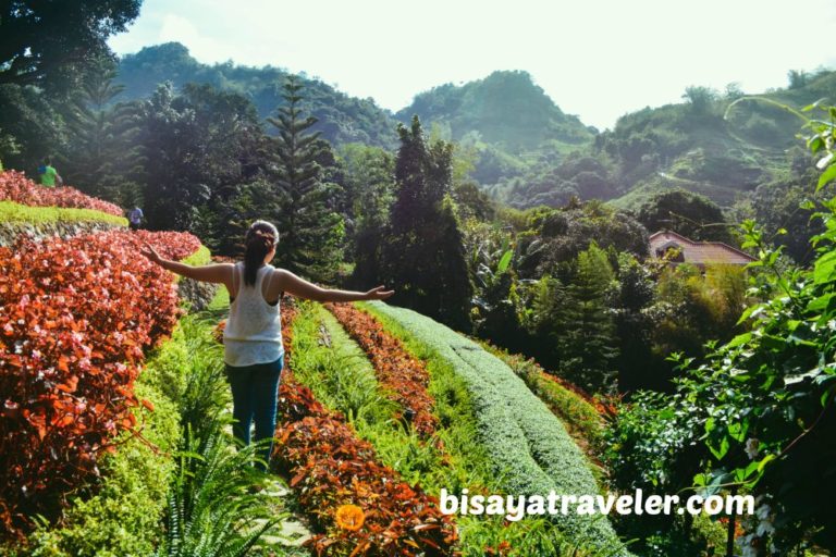 Terrazas De Flores Botanical Garden: Cebu’s Breezy Floral Nirvana - The ...