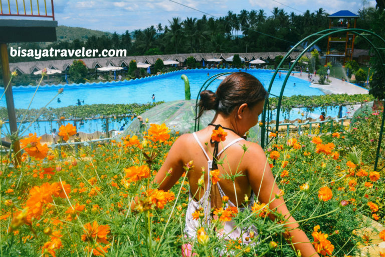 41 Incredibly Fun Things To Do In Cebu - The Bisaya Traveler