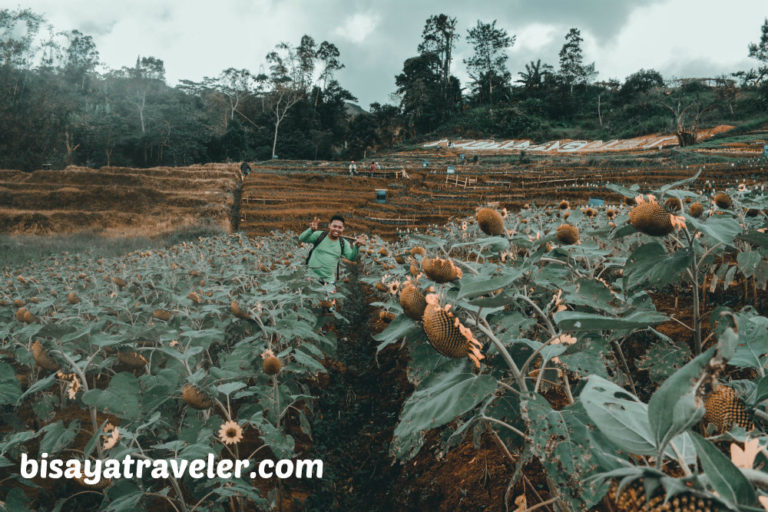 Techno Demo Farm: The Perfect Appetizer To A Scenic Dalaguete Adventure ...