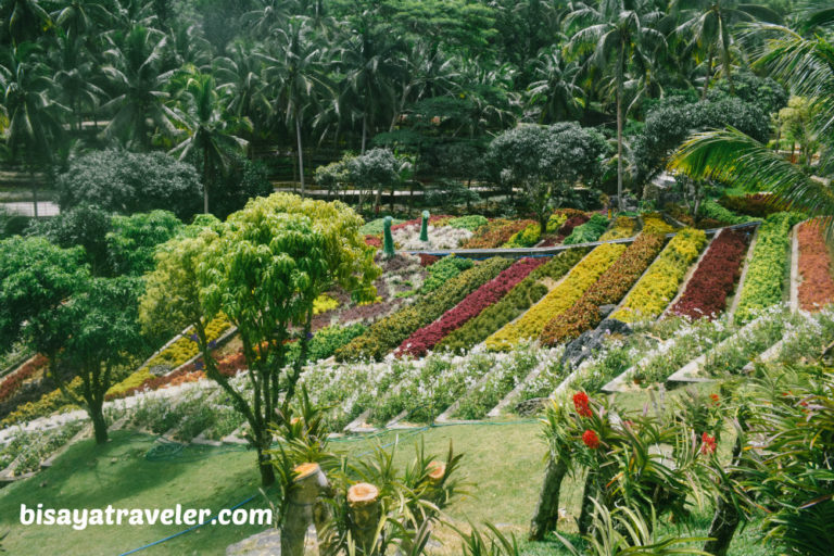 Cebu Safari And Adventure Park: An Irresistible Up-And-Coming Wildlife ...