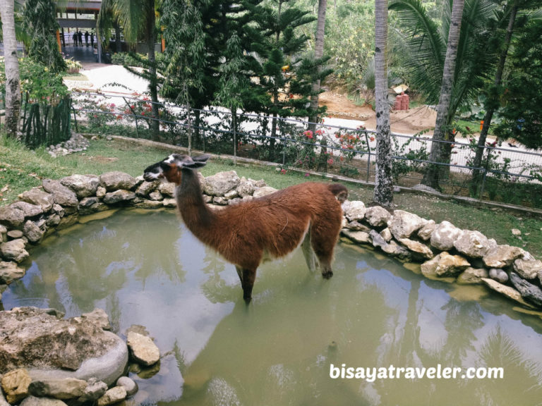 Cebu Safari And Adventure Park: An Irresistible Up-And-Coming Wildlife ...