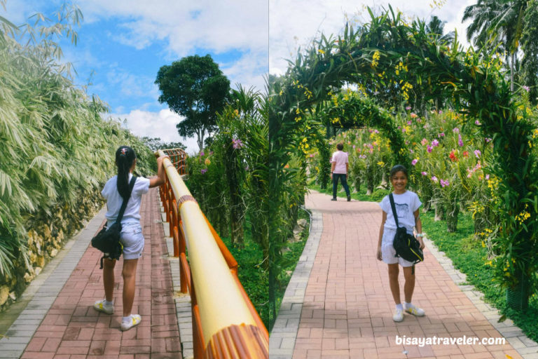 Cebu Safari And Adventure Park: An Irresistible Up-And-Coming Wildlife ...