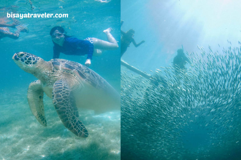 41 Incredibly Fun Things To Do In Cebu - The Bisaya Traveler