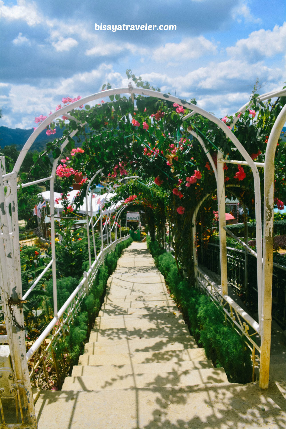 Sirao Garden: Photogenic And Perpetually Evolving Cebu Attractions ...