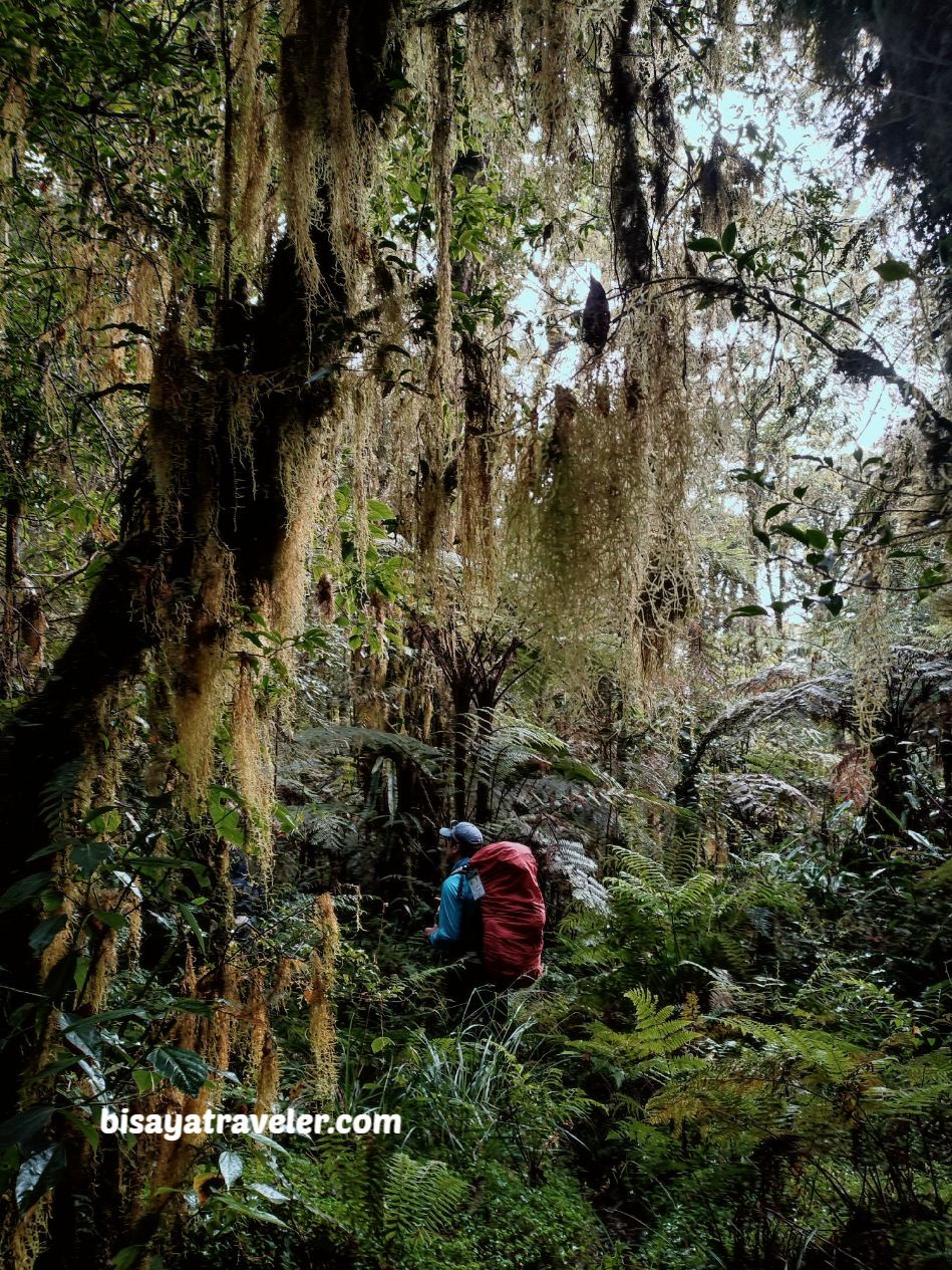 Mount Apo Diaries: The Sublime Journey To The Top - The Bisaya Traveler