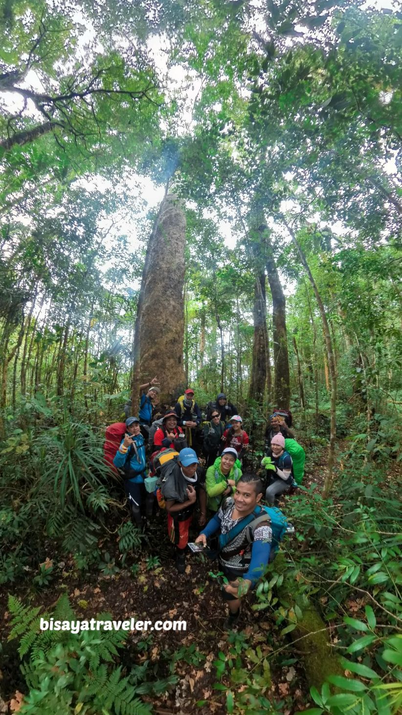 Mount Apo Diaries: The Sublime Journey To The Top - The Bisaya Traveler