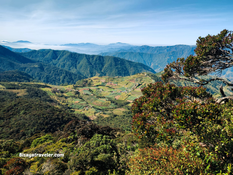 Mount Tabayoc: An Adventure Above The Clouds - The Bisaya Traveler
