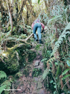 Mount Tabayoc: An Adventure Above The Clouds - The Bisaya Traveler