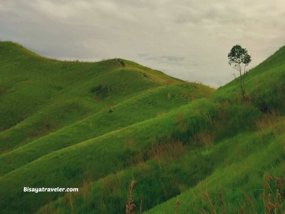 A Not-So-Ordinary Bohol Itinerary - The Bisaya Traveler