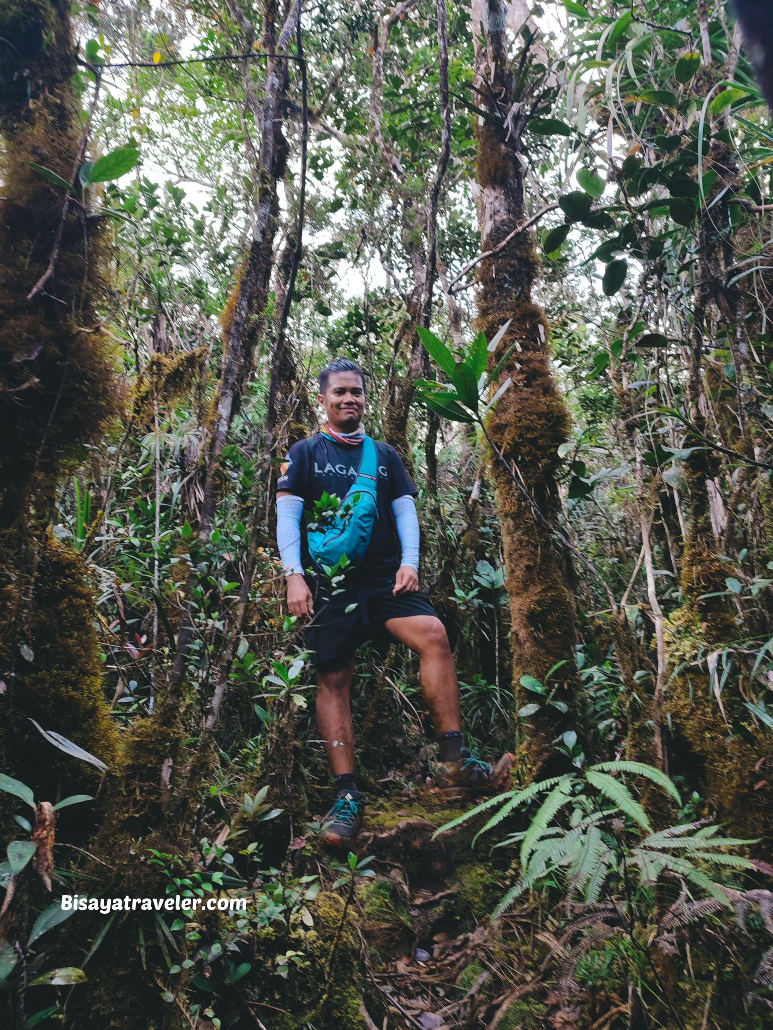 Mount Hamiguitan: A Journey To A Magical World - The Bisaya Traveler