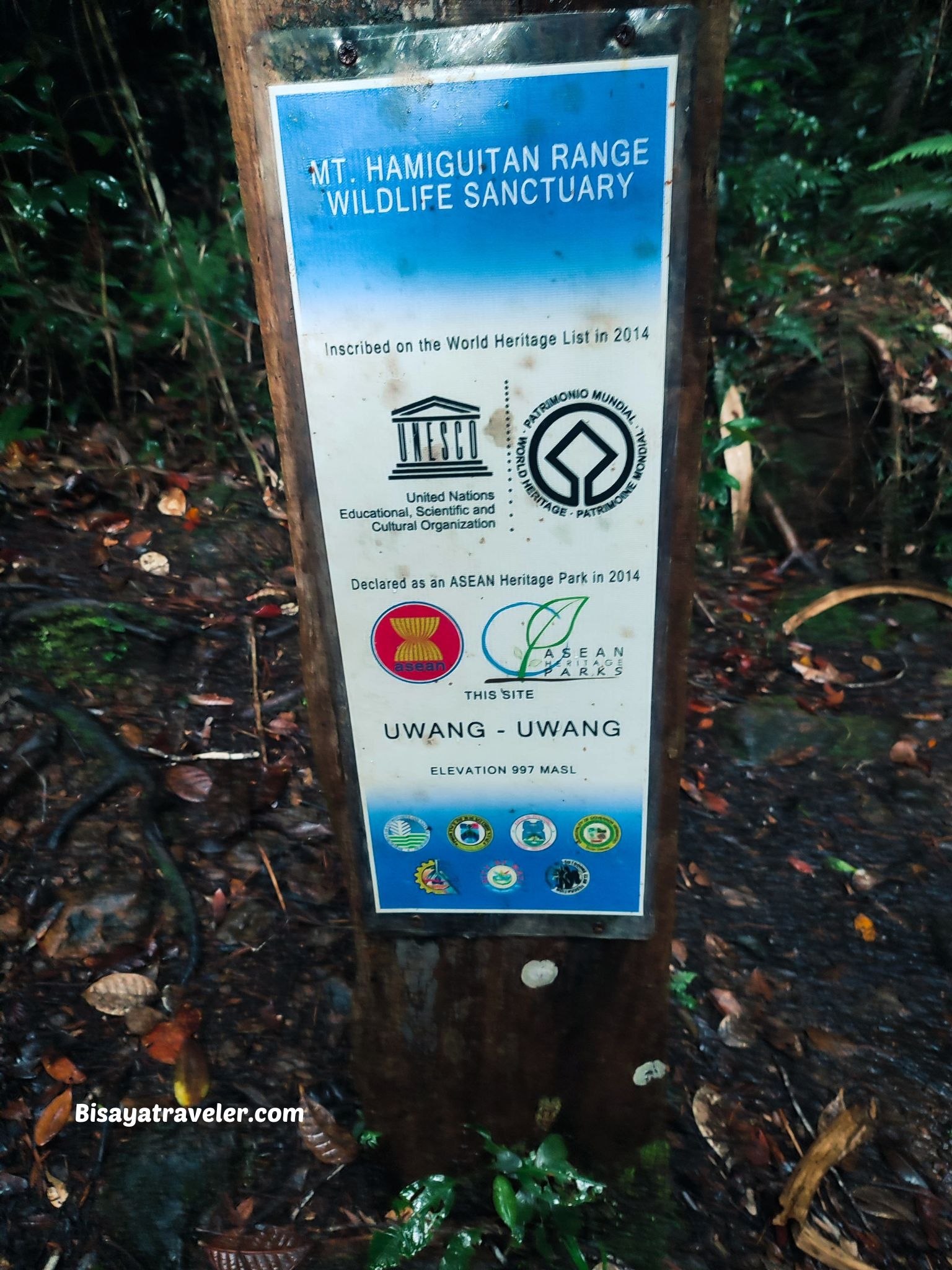 Mount Hamiguitan: A Journey To A Magical World - The Bisaya Traveler