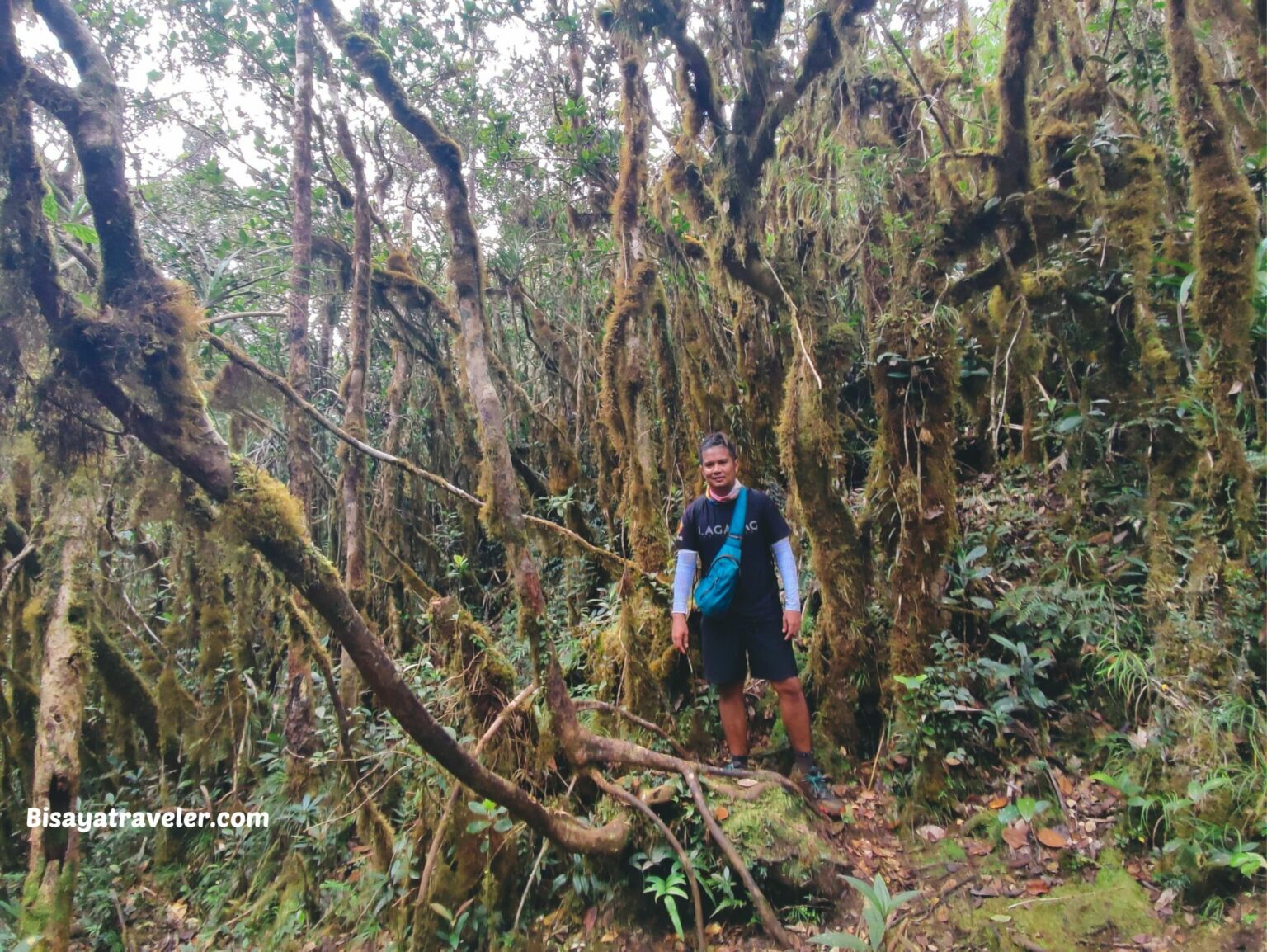 Mount Hamiguitan: A Journey To A Magical World - The Bisaya Traveler