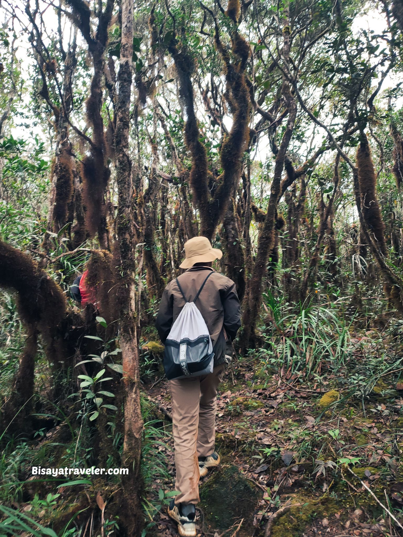 Mount Hamiguitan: A Journey To A Magical World - The Bisaya Traveler