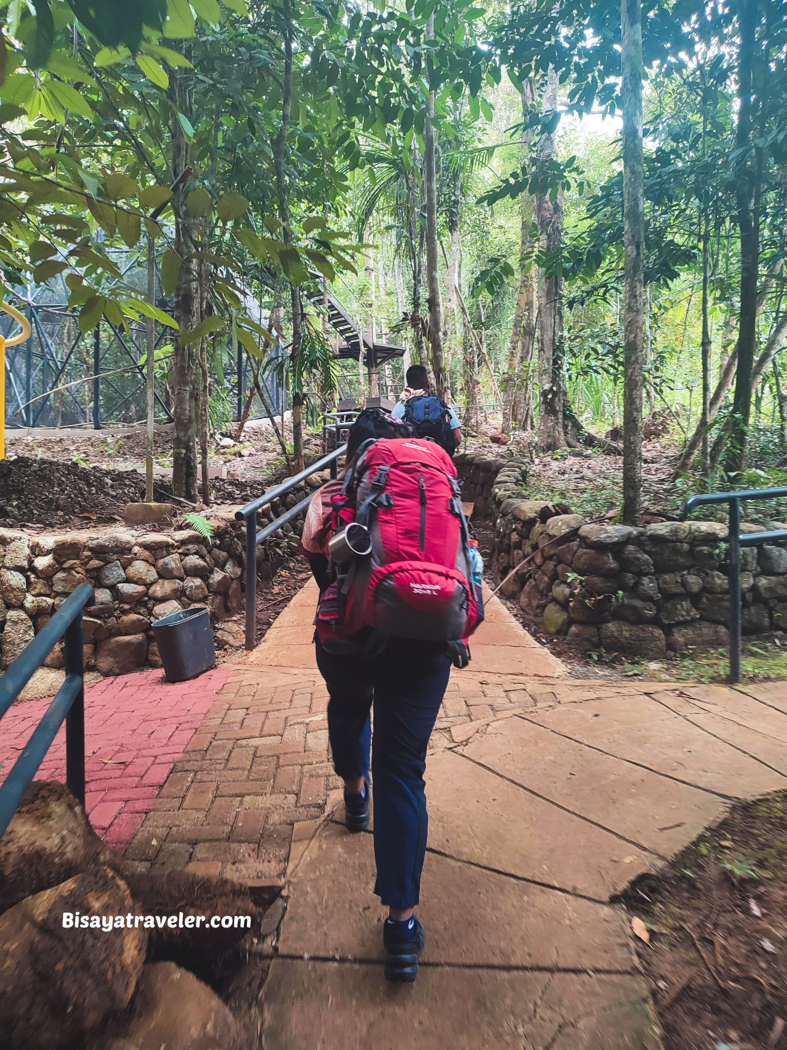 Mount Hamiguitan: A Journey To A Magical World - The Bisaya Traveler