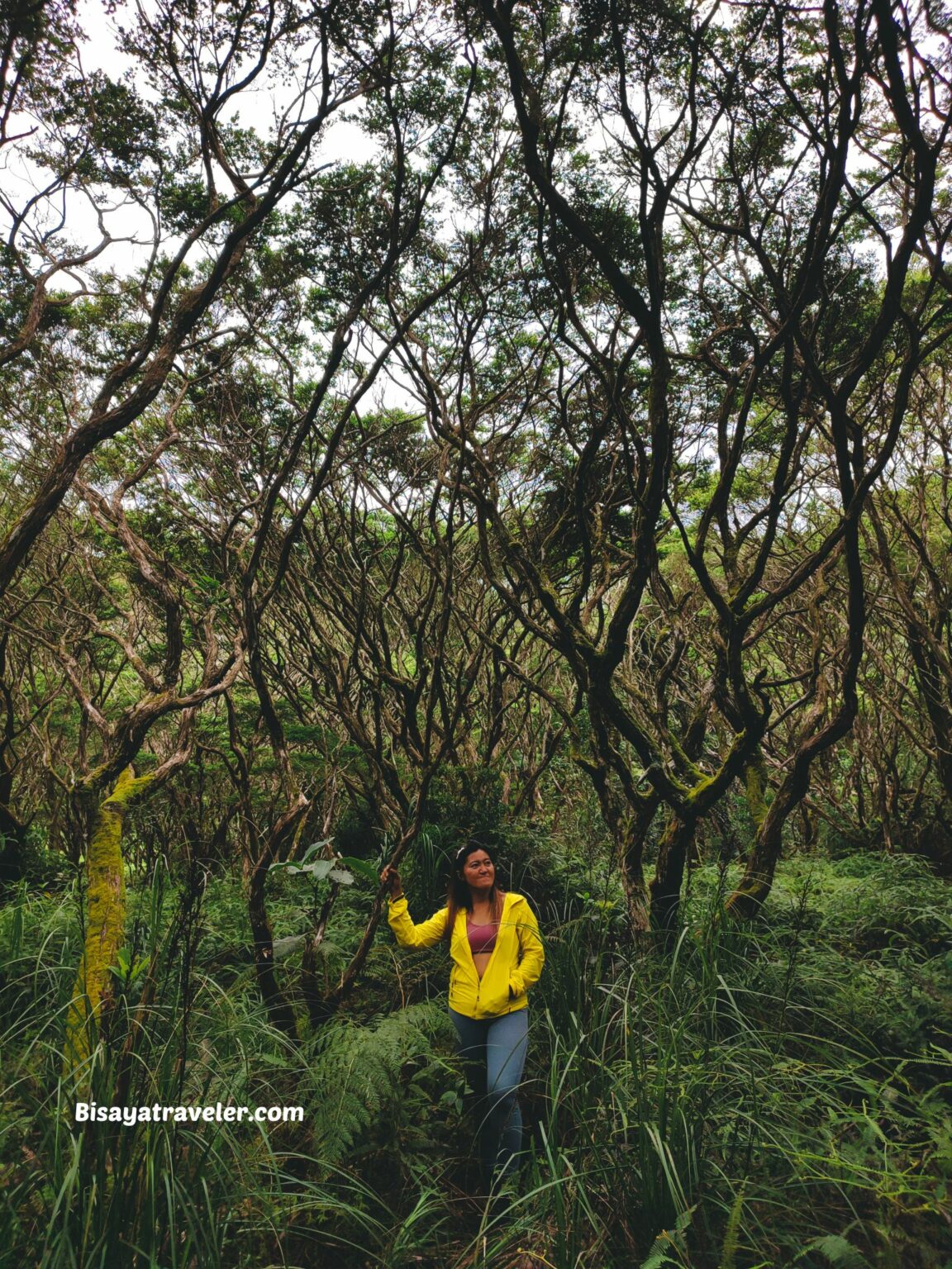 Mount Hamiguitan: A Journey To A Magical World - The Bisaya Traveler