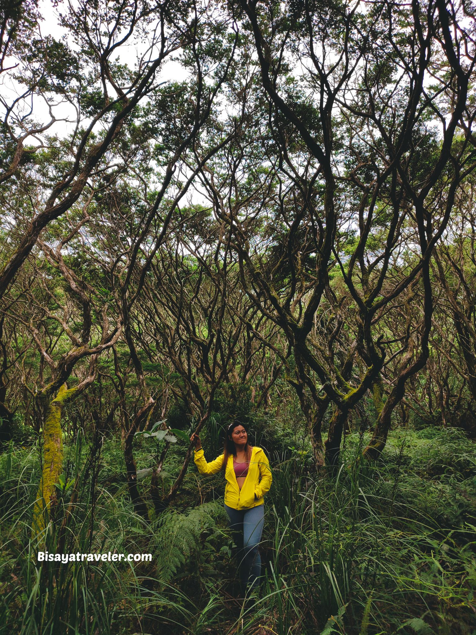 Mount Hamiguitan: A Journey To A Magical World - The Bisaya Traveler