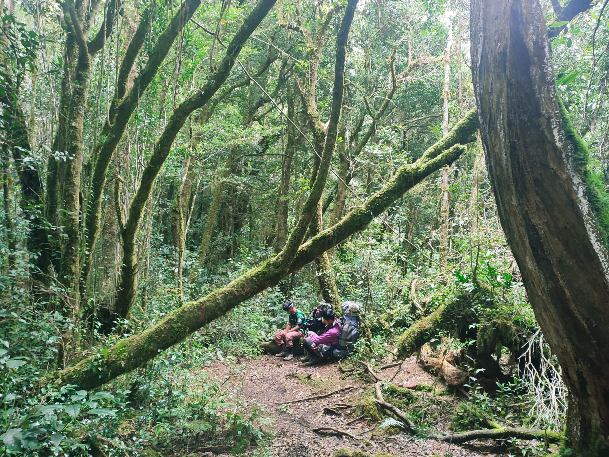 Mount Dulang-Dulang: A Climb To The Enchanting Mountain - The Bisaya ...