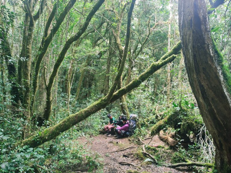 Mount Dulang-Dulang: A Climb To The Enchanting Mountain - The Bisaya ...