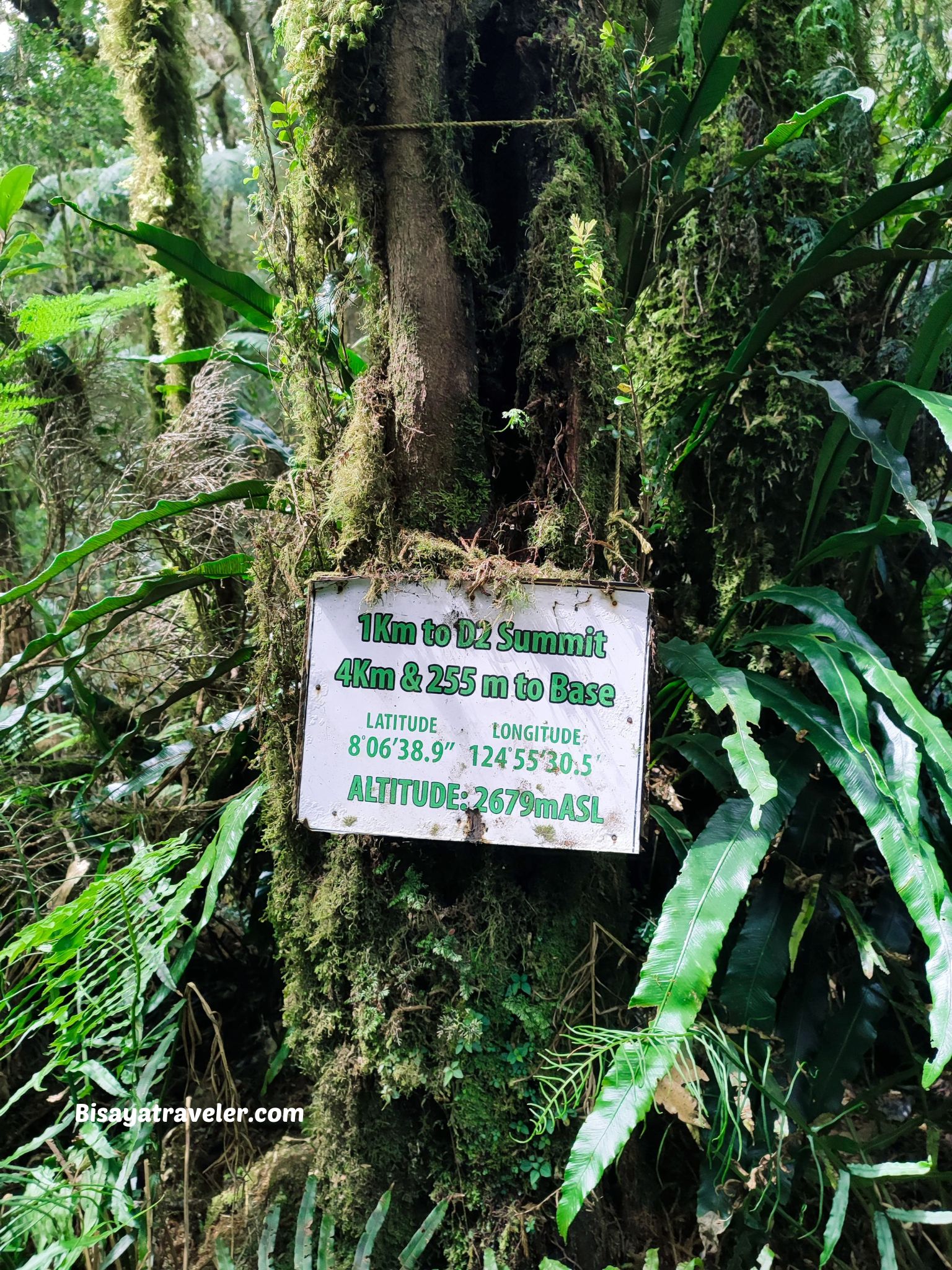 Mount Dulang-Dulang: A Climb To The Enchanting Mountain - The Bisaya ...