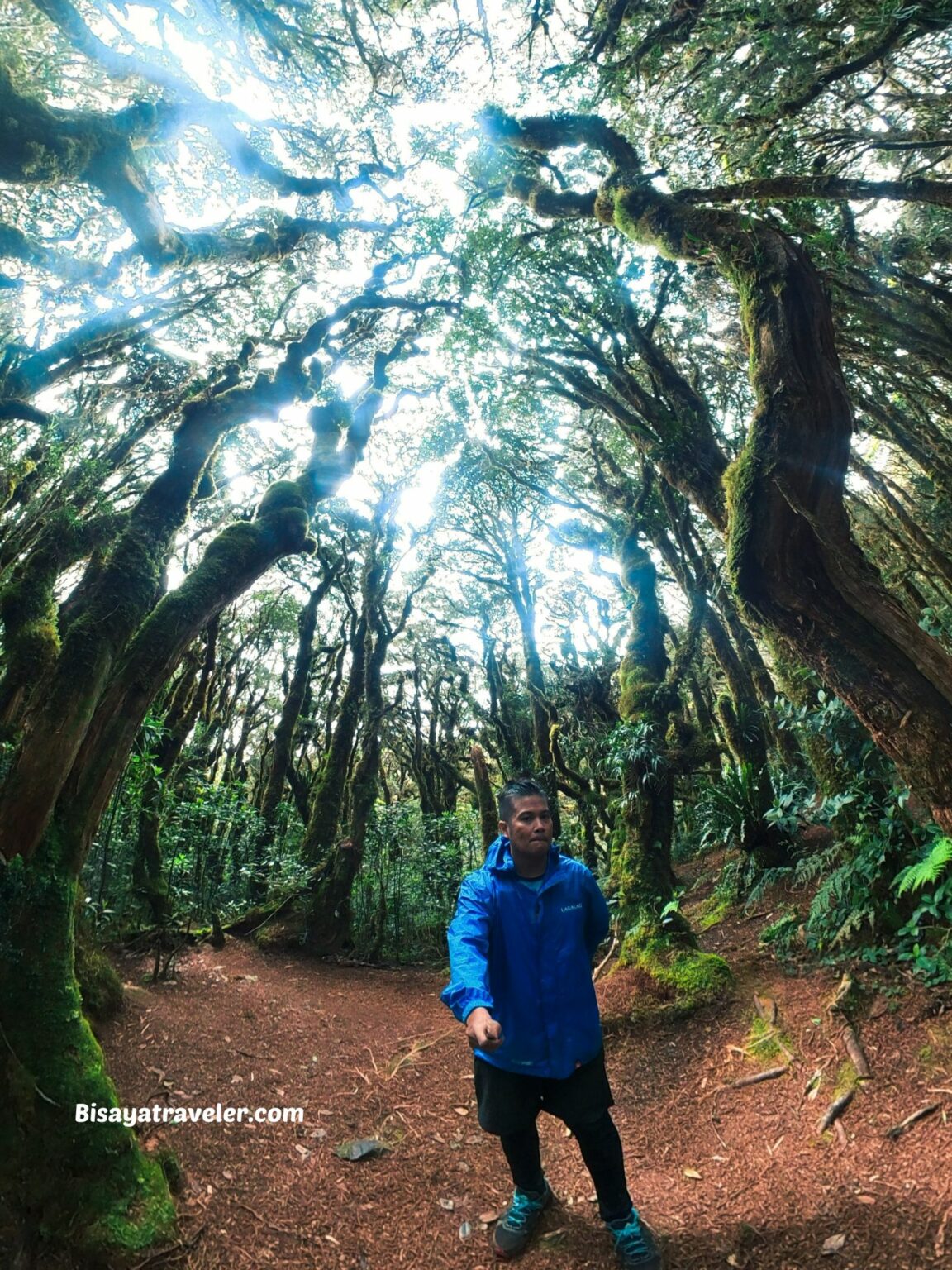 Mount Dulang-Dulang: A Climb To The Enchanting Mountain - The Bisaya ...