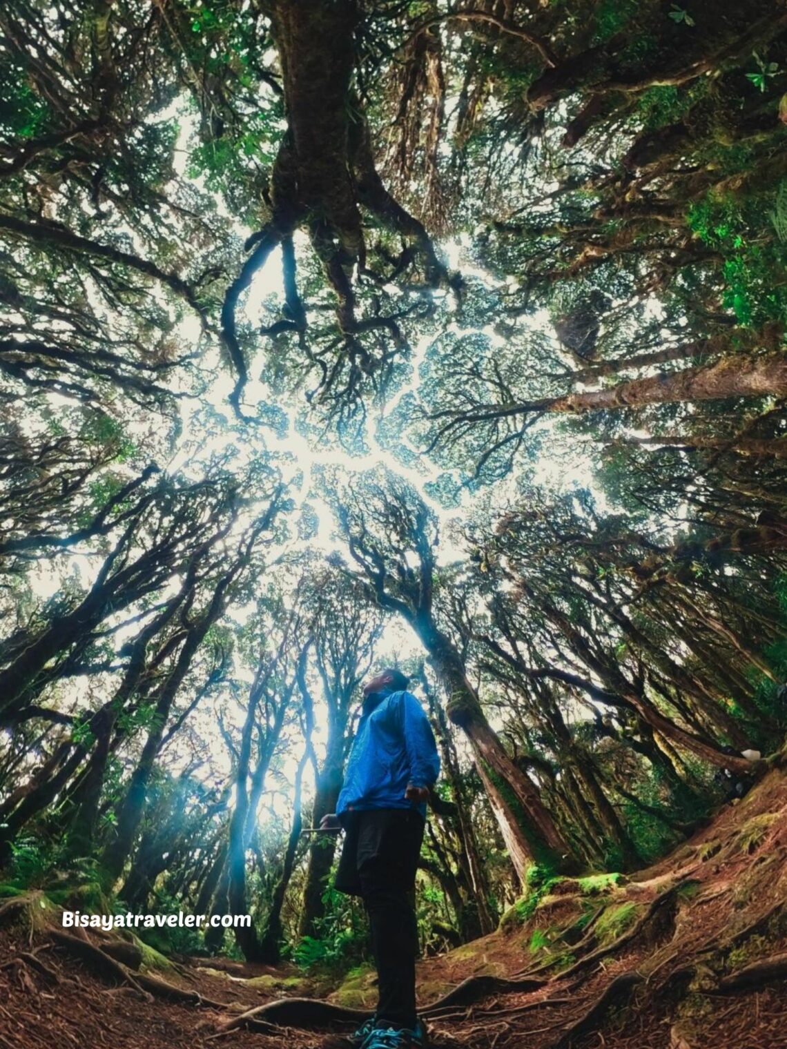 Mount Dulang-Dulang: A Climb To The Enchanting Mountain - The Bisaya ...