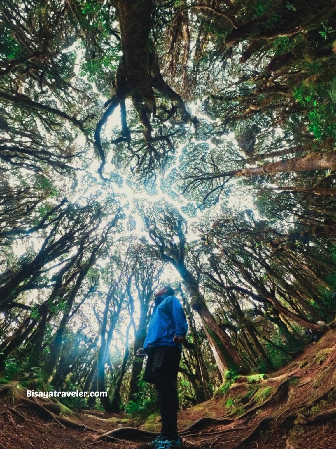 Mount Dulang-Dulang: A Climb To The Enchanting Mountain - The Bisaya ...