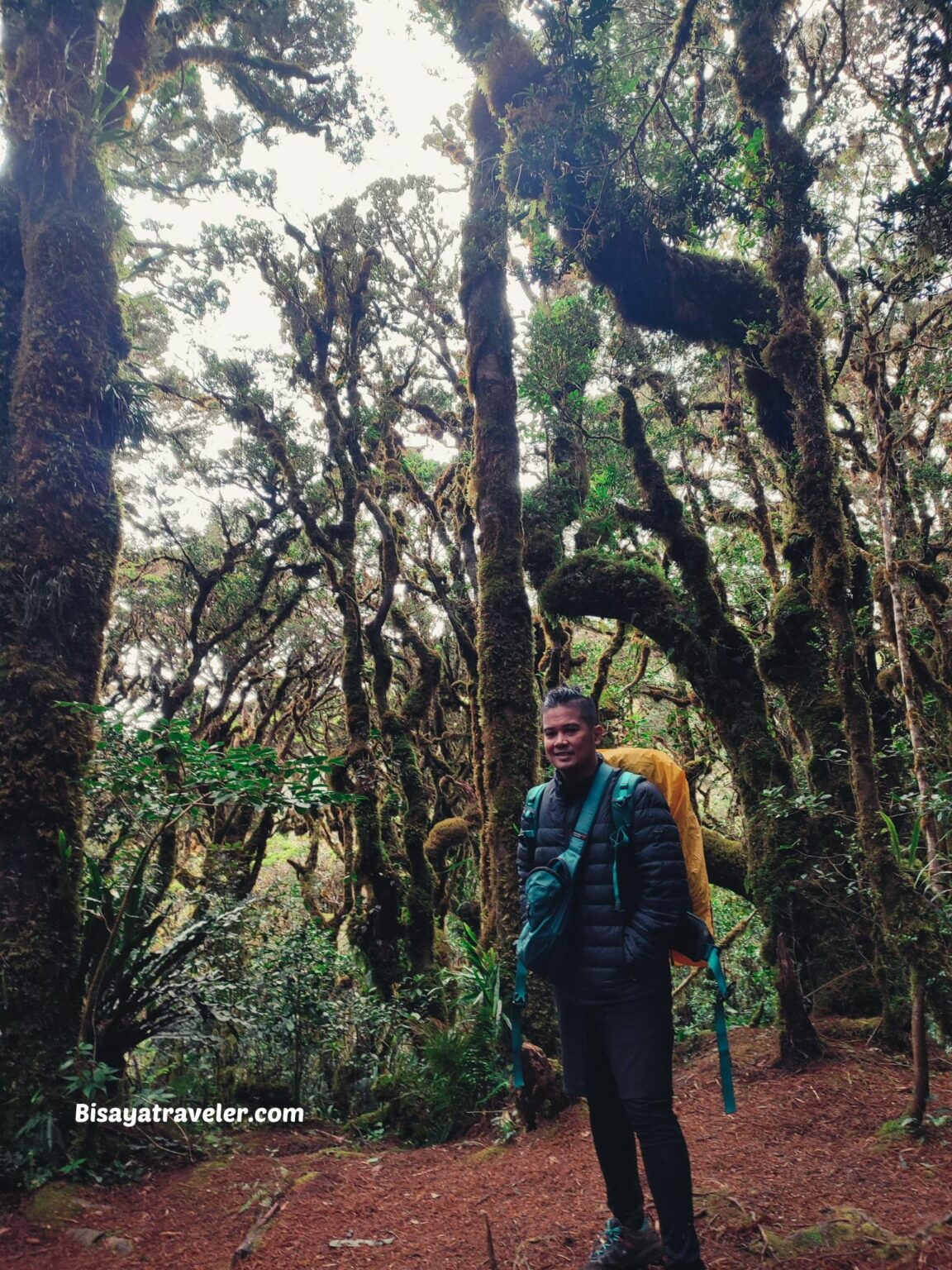 Mount Dulang-Dulang: A Climb To The Enchanting Mountain - The Bisaya ...