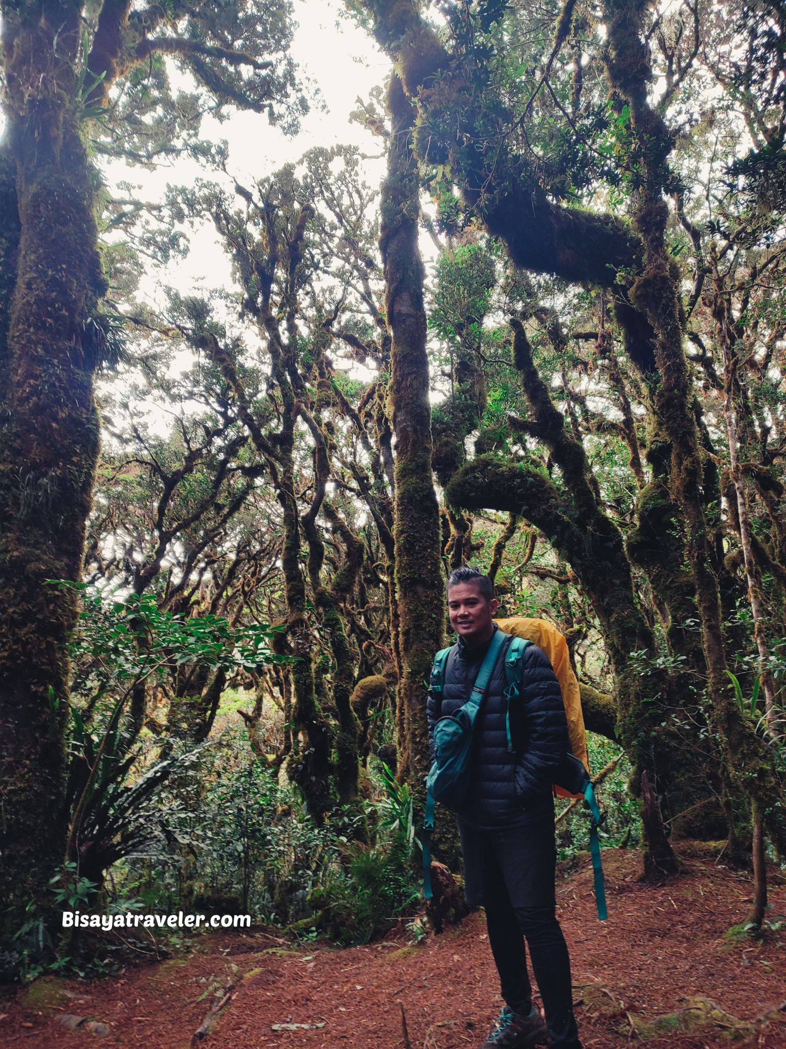 Mount Dulang-Dulang: A Climb To The Enchanting Mountain - The Bisaya ...