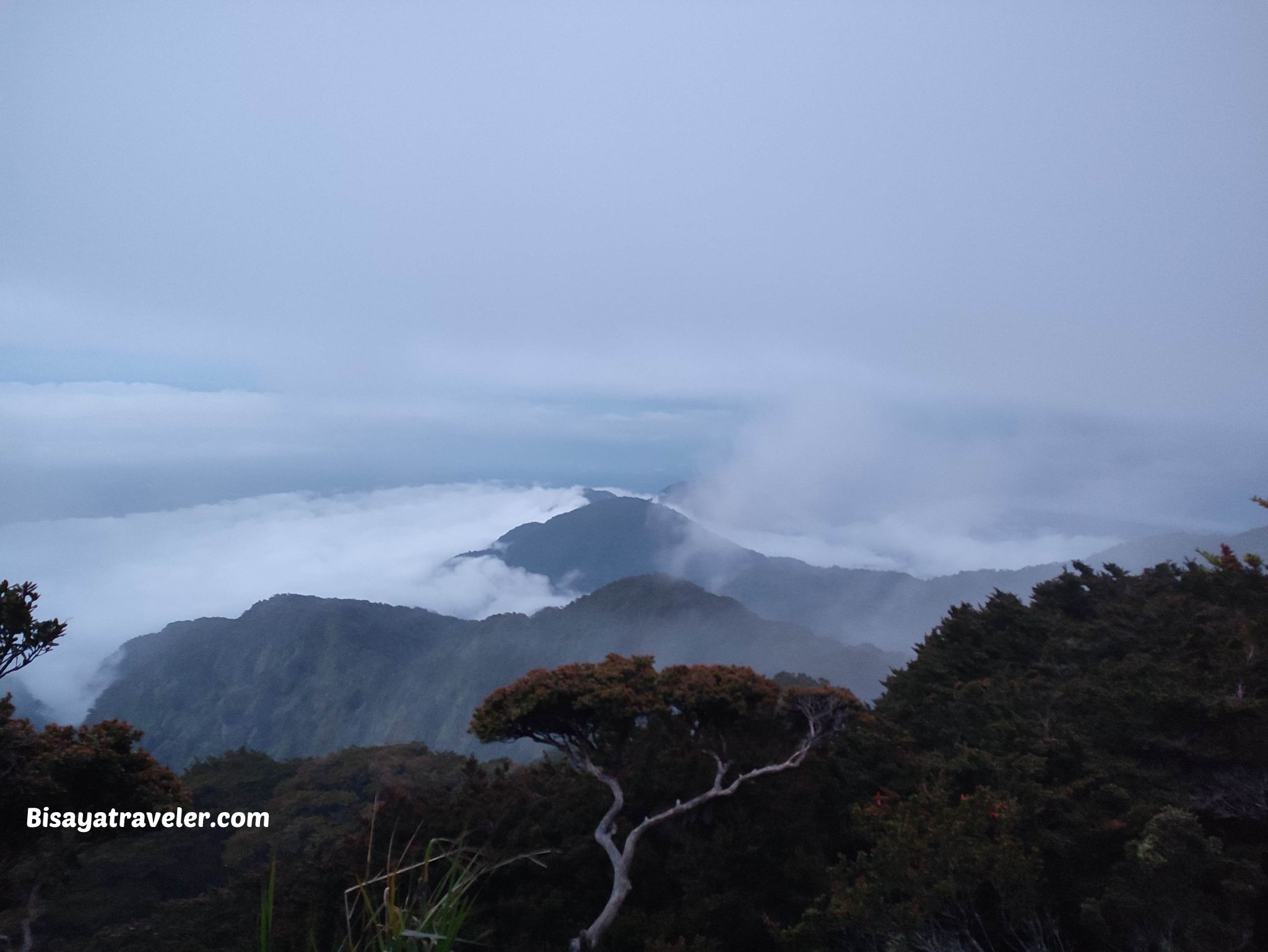 Mount Dulang-Dulang: A Climb To The Enchanting Mountain - The Bisaya ...