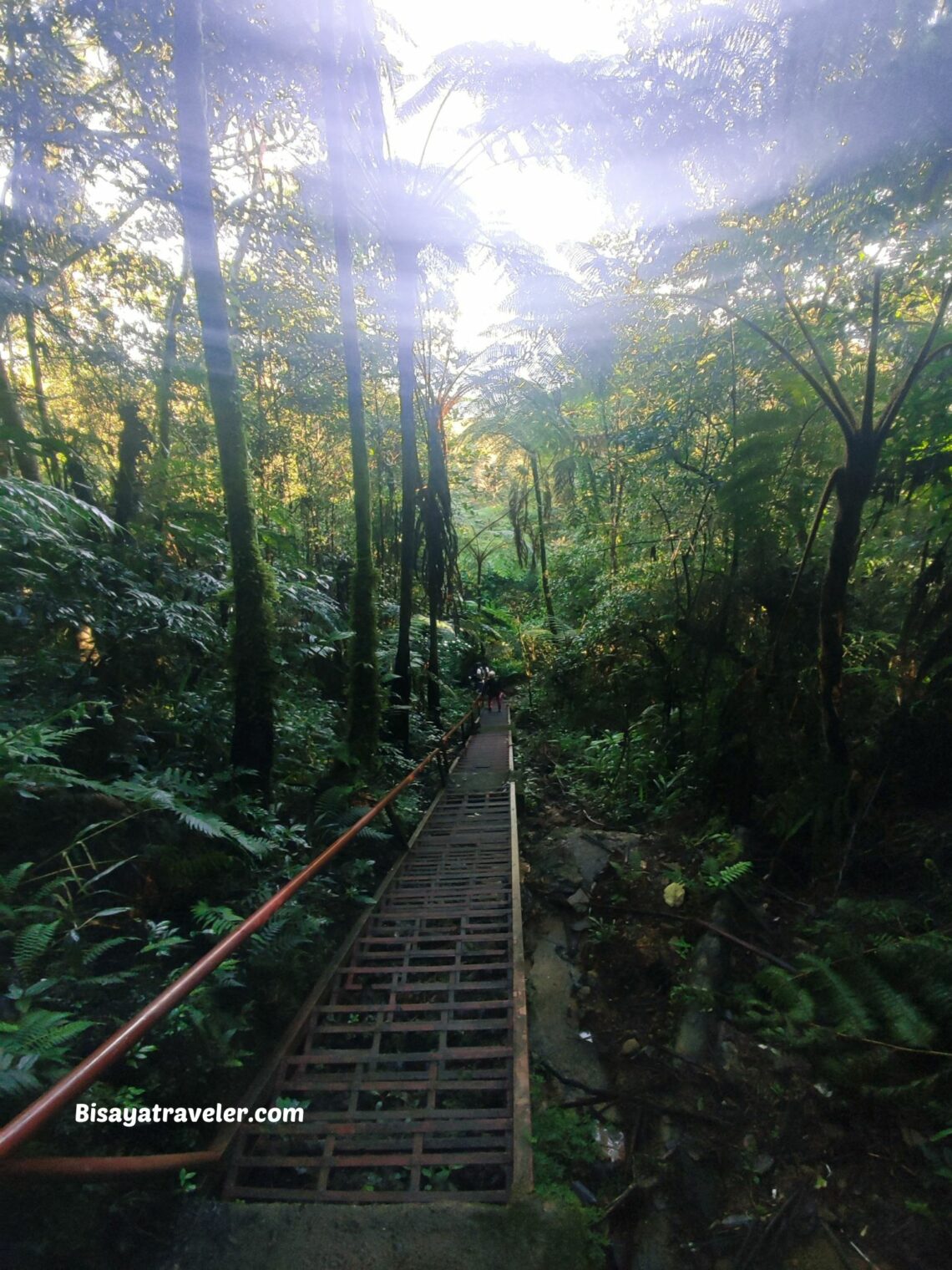 Mount Kitanglad In One Day: That Thing Called Adventure - The Bisaya ...