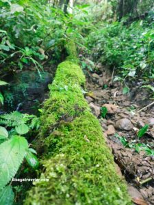 Mount Kitanglad In One Day: That Thing Called Adventure - The Bisaya ...