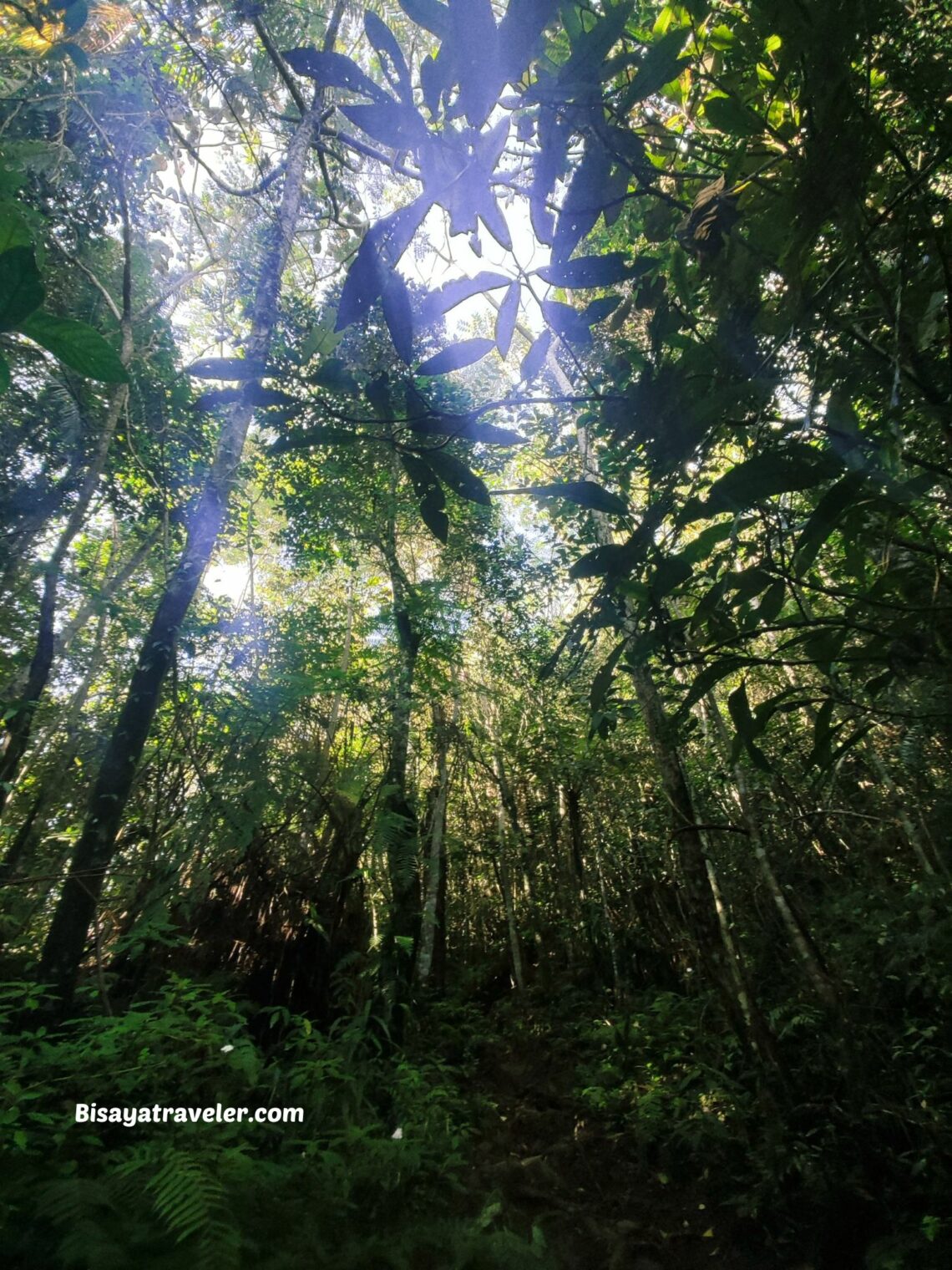 Mount Kitanglad In One Day: That Thing Called Adventure - The Bisaya ...