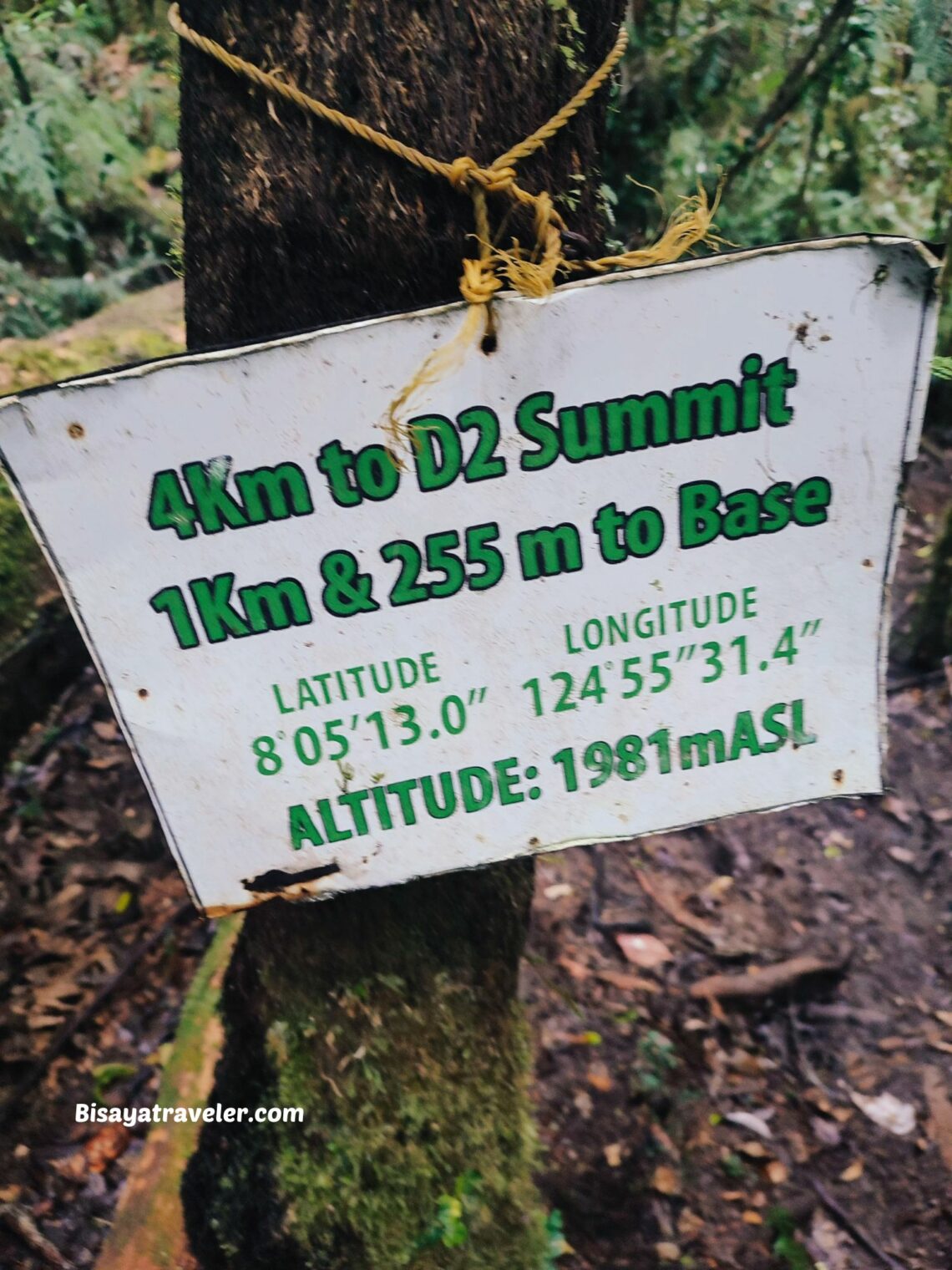 Mount Dulang-Dulang: A Climb To The Enchanting Mountain - The Bisaya ...