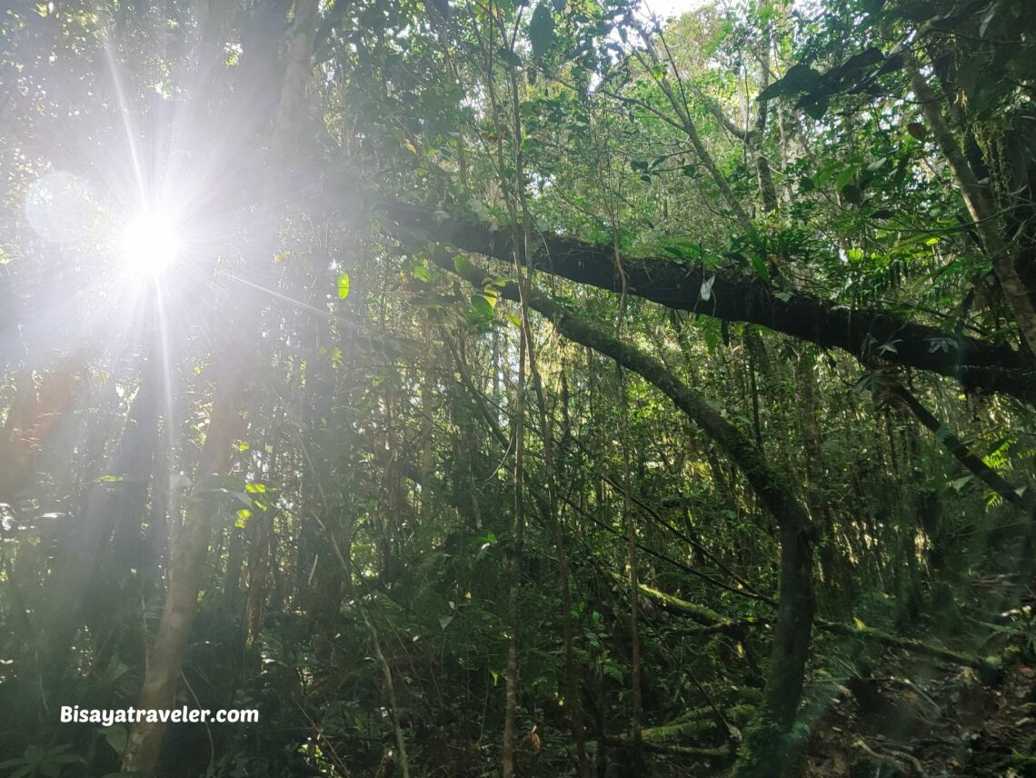 Mount Kitanglad In One Day: That Thing Called Adventure - The Bisaya ...