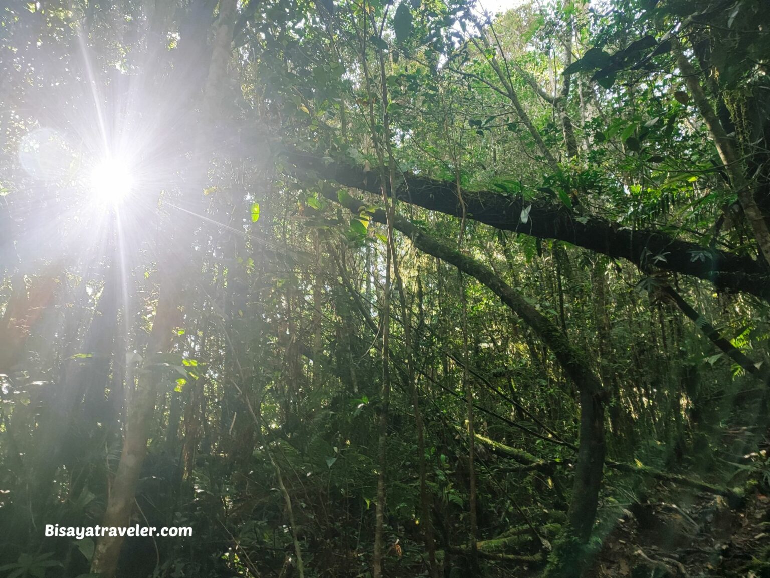 Mount Kitanglad In One Day: That Thing Called Adventure - The Bisaya ...