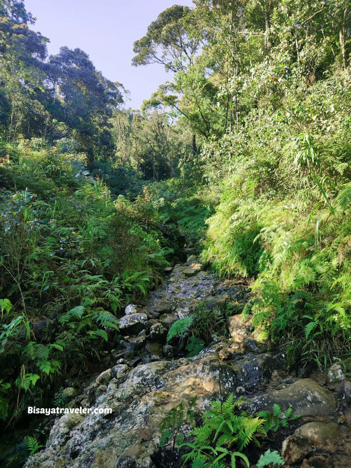 Mount Kitanglad In One Day: That Thing Called Adventure - The Bisaya ...