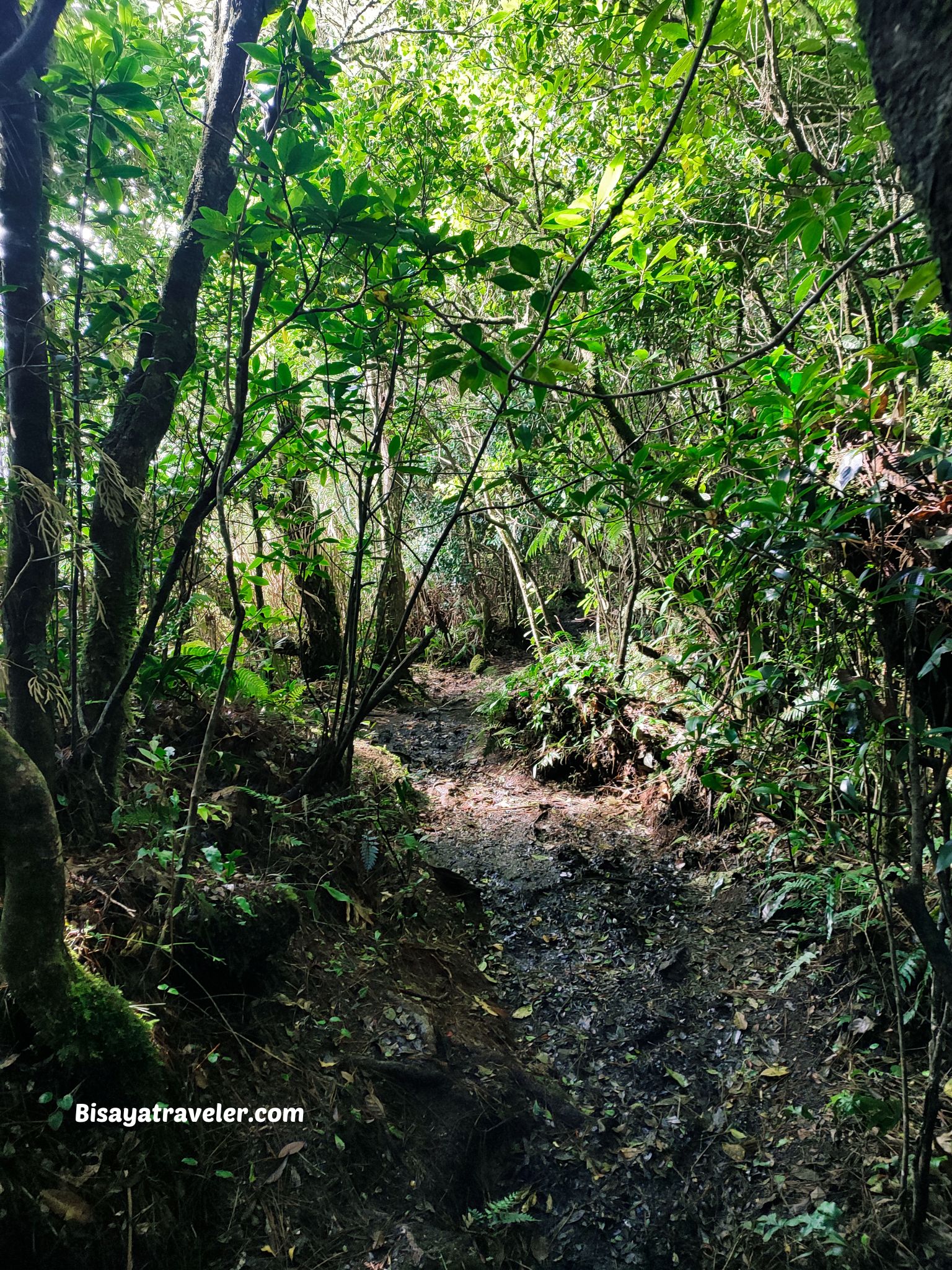 Mount Kitanglad In One Day: That Thing Called Adventure - The Bisaya ...