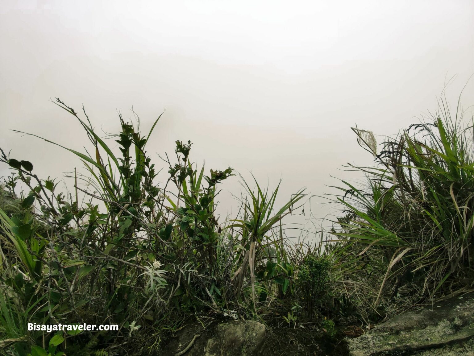 Mount Kitanglad In One Day: That Thing Called Adventure - The Bisaya ...