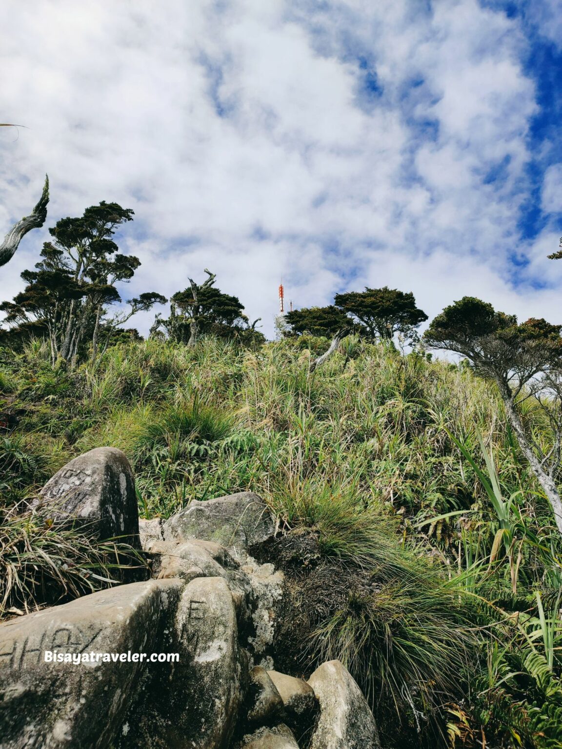 Mount Kitanglad In One Day: That Thing Called Adventure - The Bisaya ...