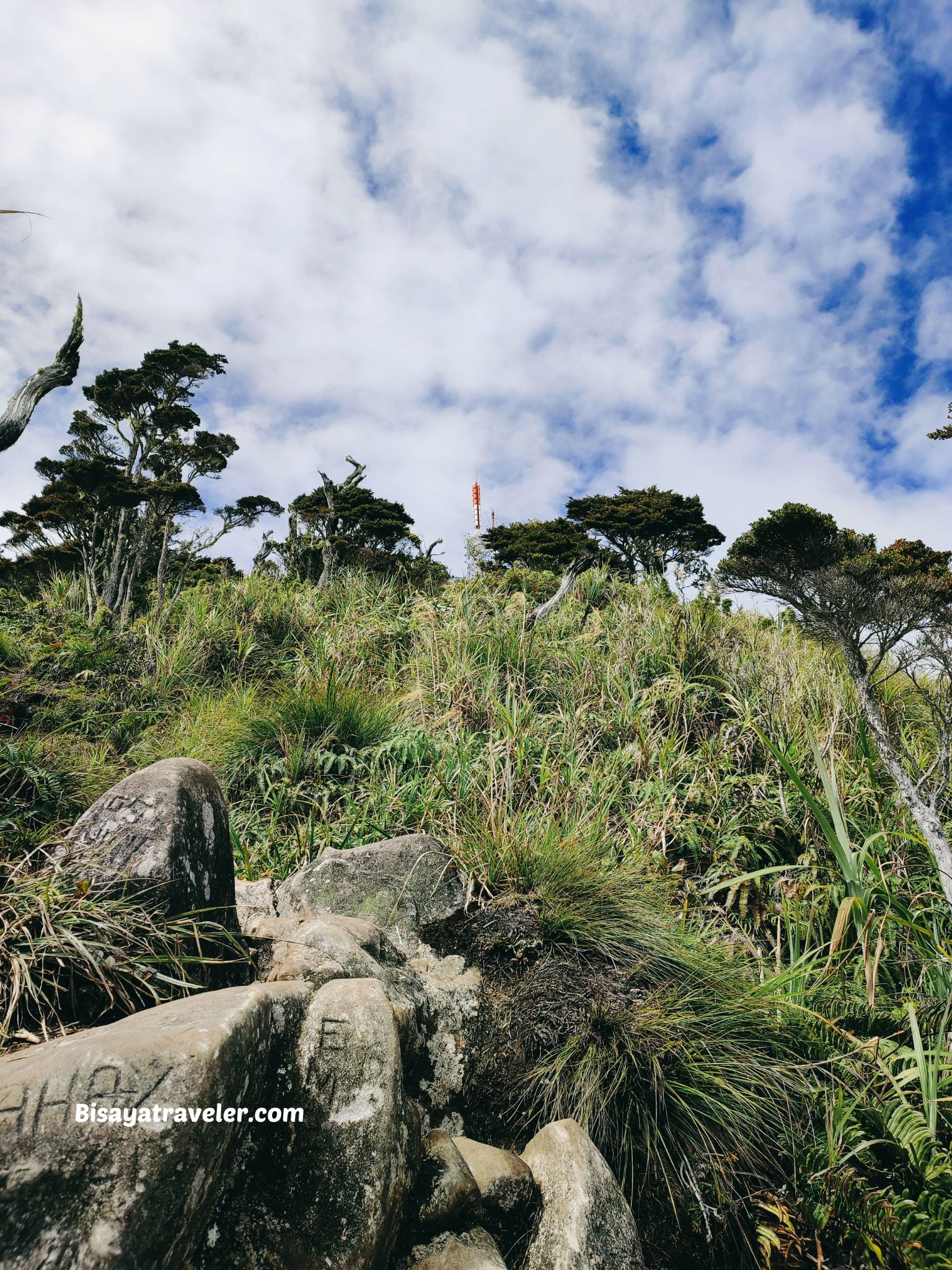 Mount Kitanglad In One Day: That Thing Called Adventure - The Bisaya ...