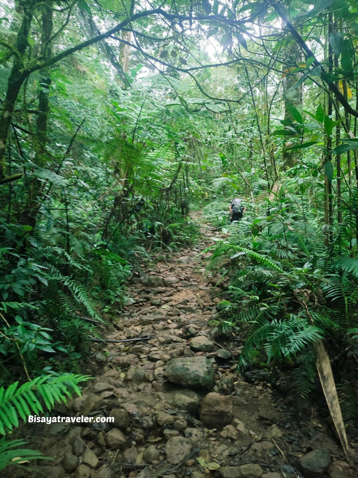 Mount Dulang-Dulang: A Climb To The Enchanting Mountain - The Bisaya ...