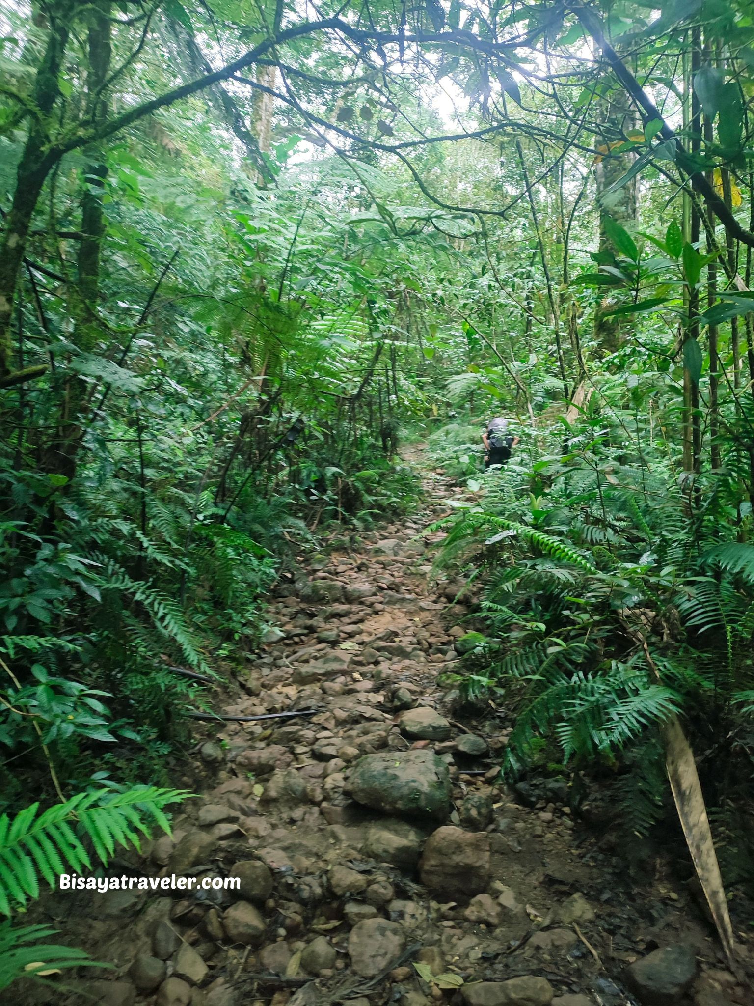 Mount Dulang-Dulang: A Climb To The Enchanting Mountain - The Bisaya ...