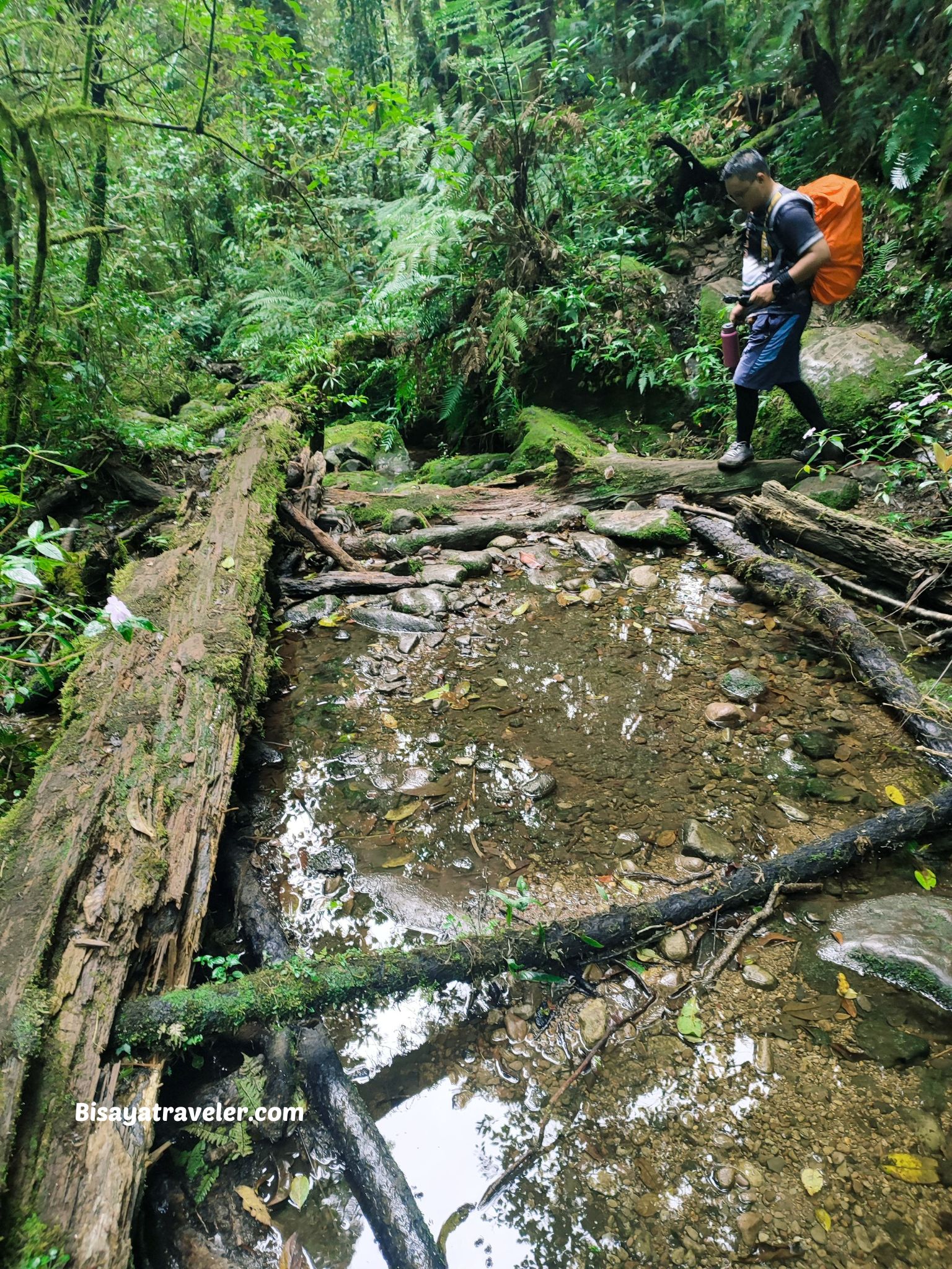 Mount Dulang-Dulang: A Climb To The Enchanting Mountain - The Bisaya ...