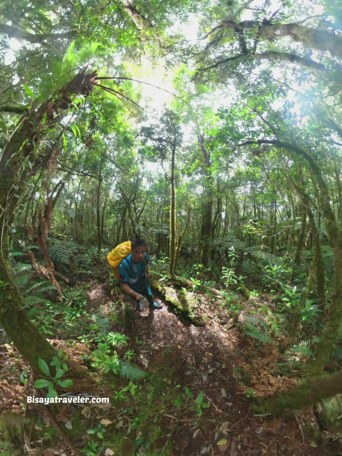 Mount Dulang-Dulang: A Climb To The Enchanting Mountain - The Bisaya ...