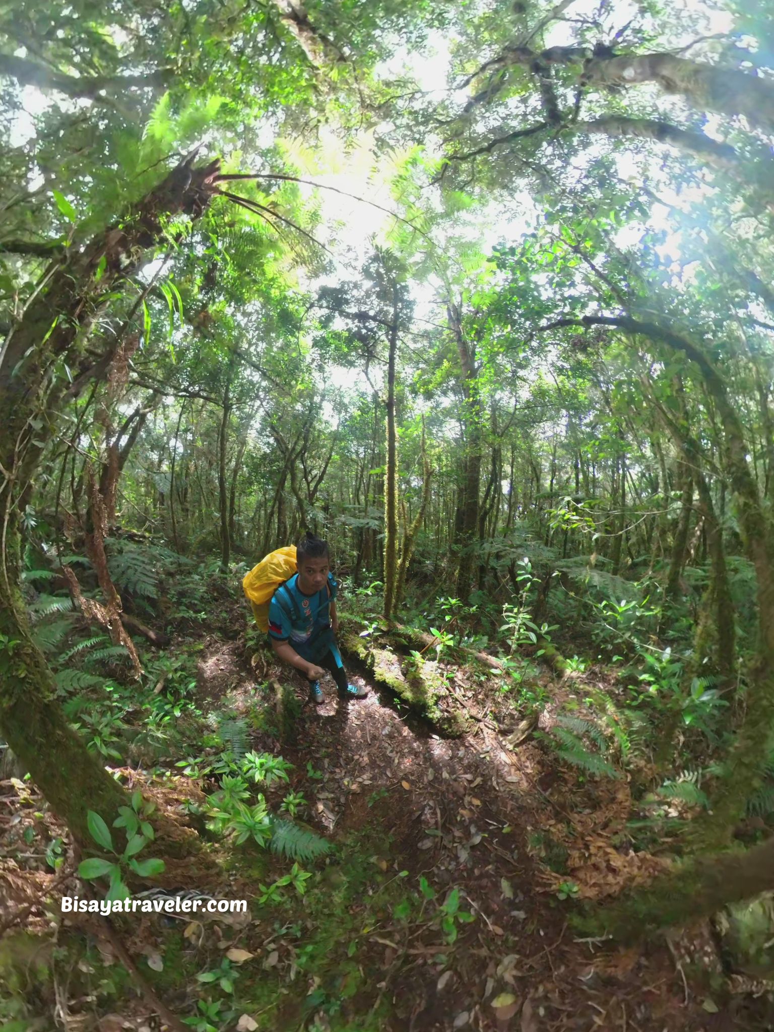 Mount Dulang-Dulang: A Climb To The Enchanting Mountain - The Bisaya ...