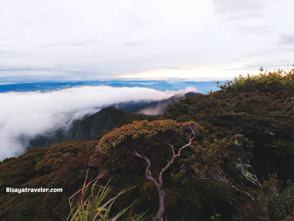 Mount Dulang-Dulang: A Climb To The Enchanting Mountain - The Bisaya ...