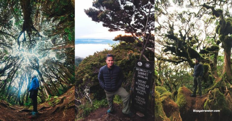 Mount Dulang-Dulang: A Climb To The Enchanting Mountain - The Bisaya ...