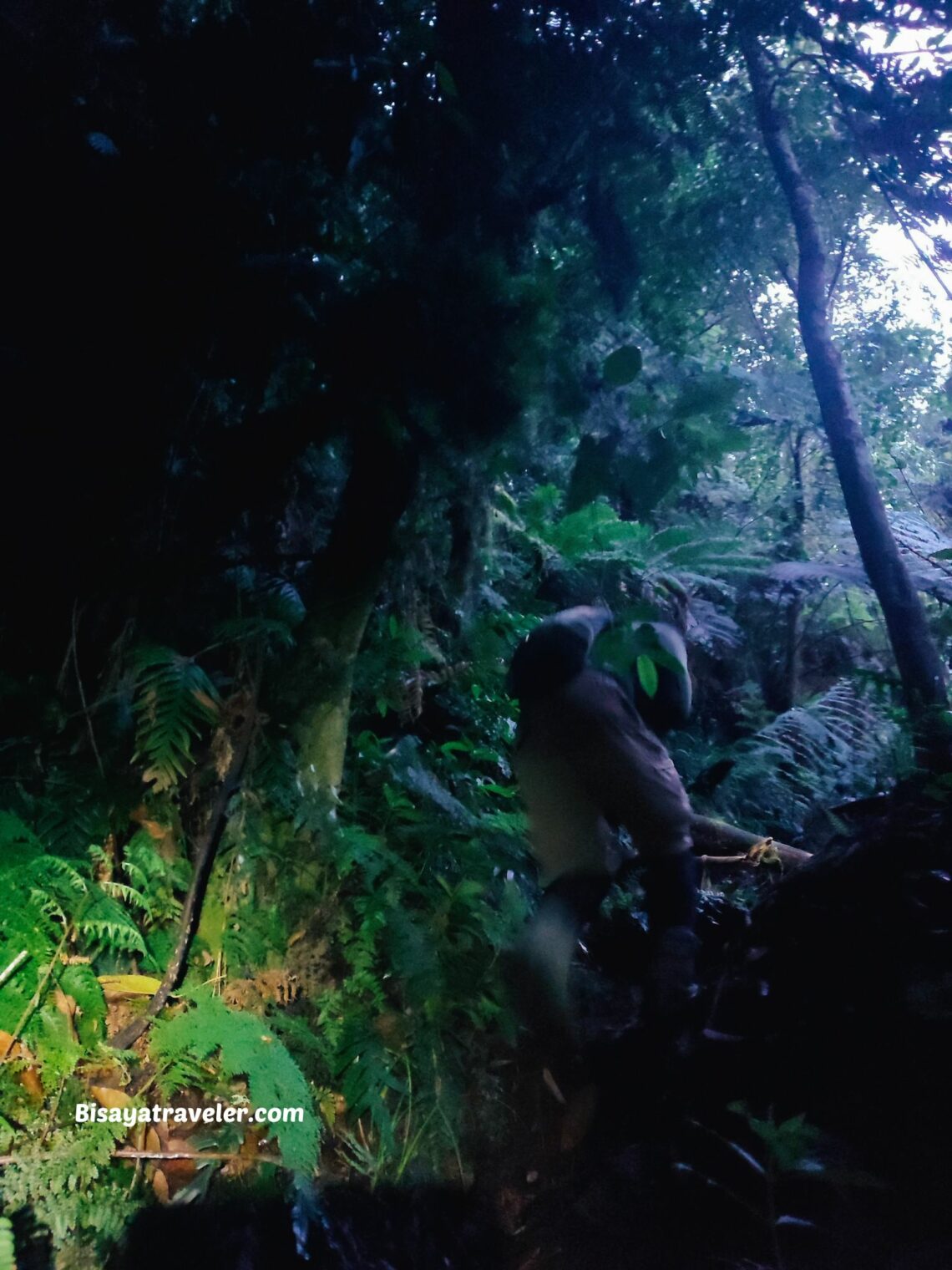 Mount Matutum And The Pathway To Happiness - The Bisaya Traveler