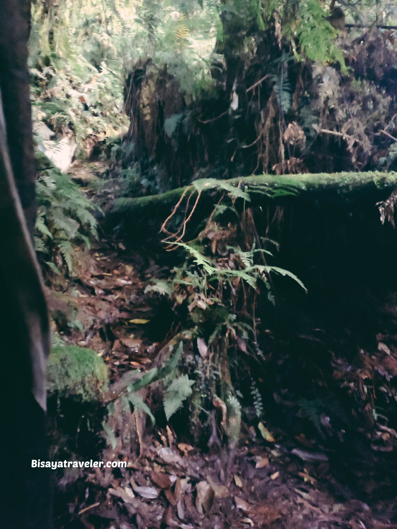 Mount Matutum And The Pathway To Happiness - The Bisaya Traveler